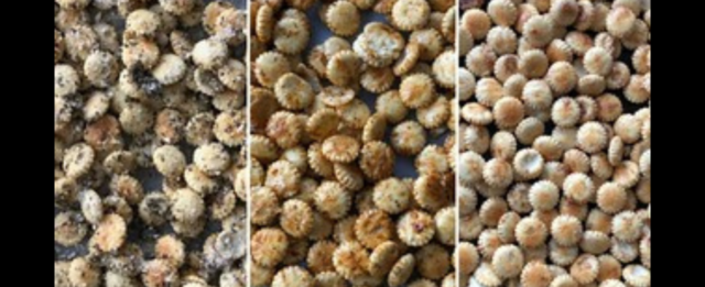 Create Your Own Seasoned Crackers – Our Military Life Blog