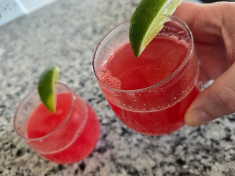 Watermelon Lime (Margarita) Mocktail – Our Military Life Blog